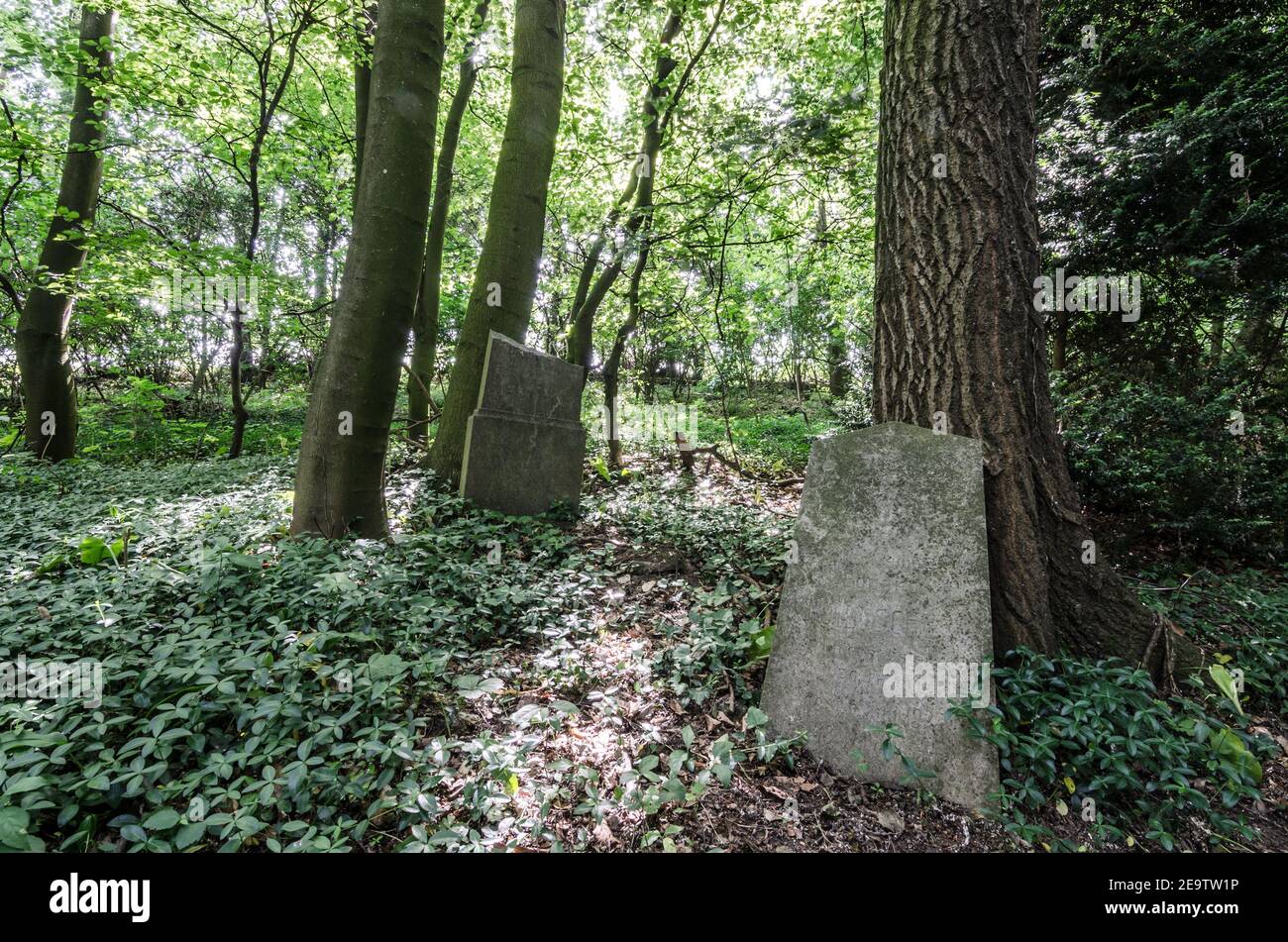 abandoned old tombs in the forest Stock Photo - Alamy