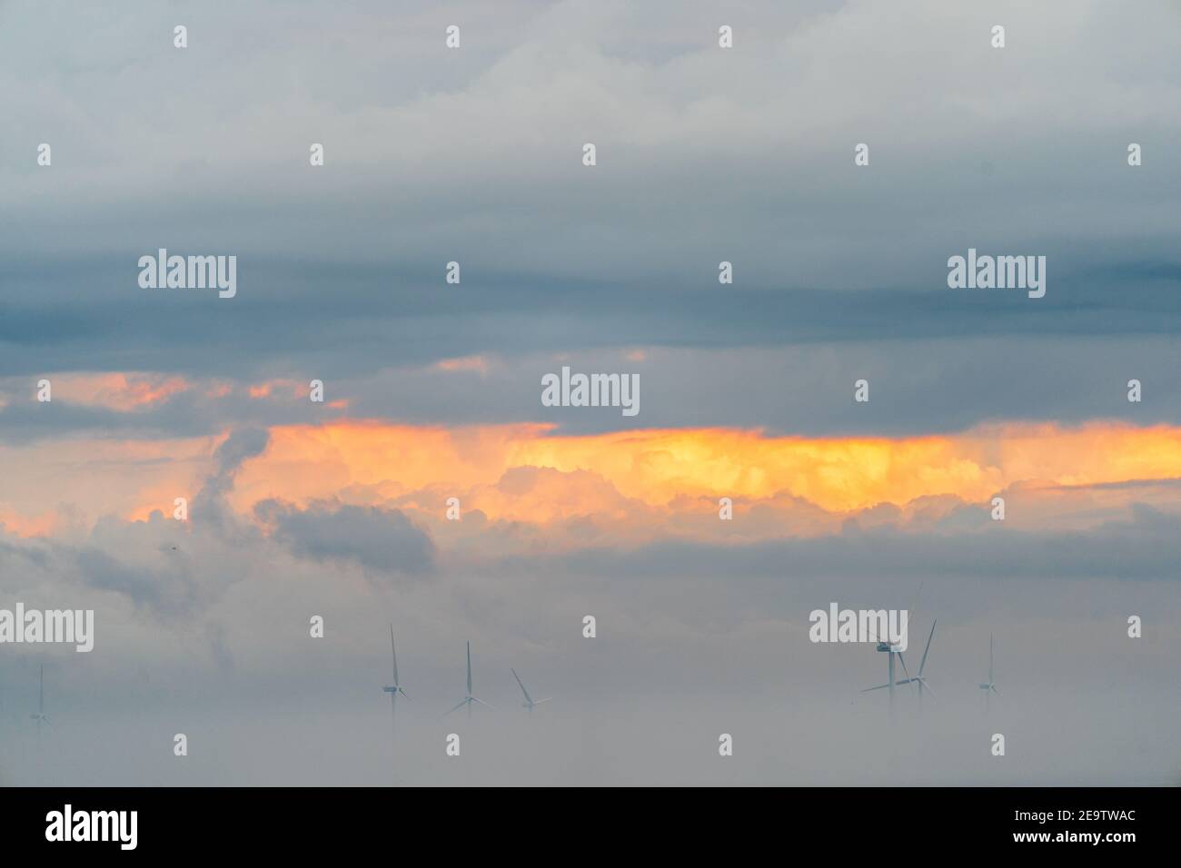 Wind turbines of the London Array offshore windfarm emerging from the ...