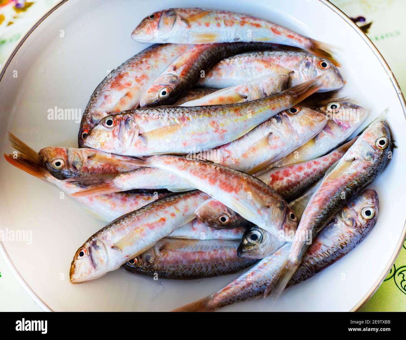 Mullet fish hi-res stock photography and images - Alamy