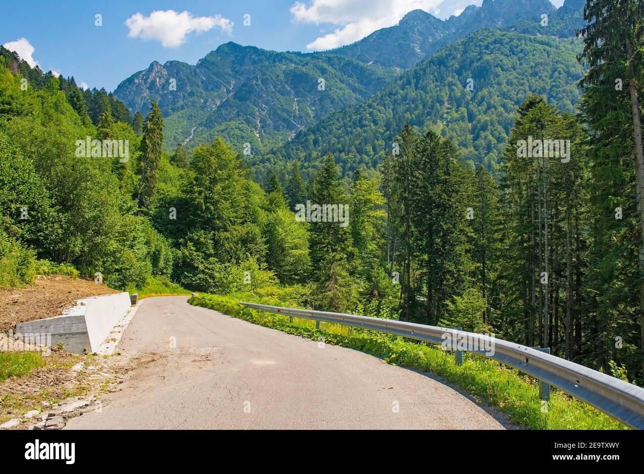 The summer landscape near the Sella Cereschiatis mountain pass in Udine ...