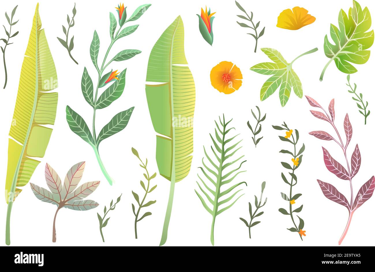 Jungle Leaves Clip Art Jungle Illustration Plant Leaves 35 Jungle
