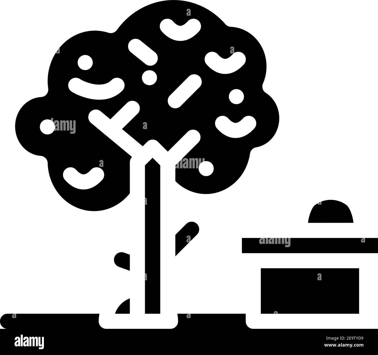 Parachute tree Black and White Stock Photos & Images - Alamy