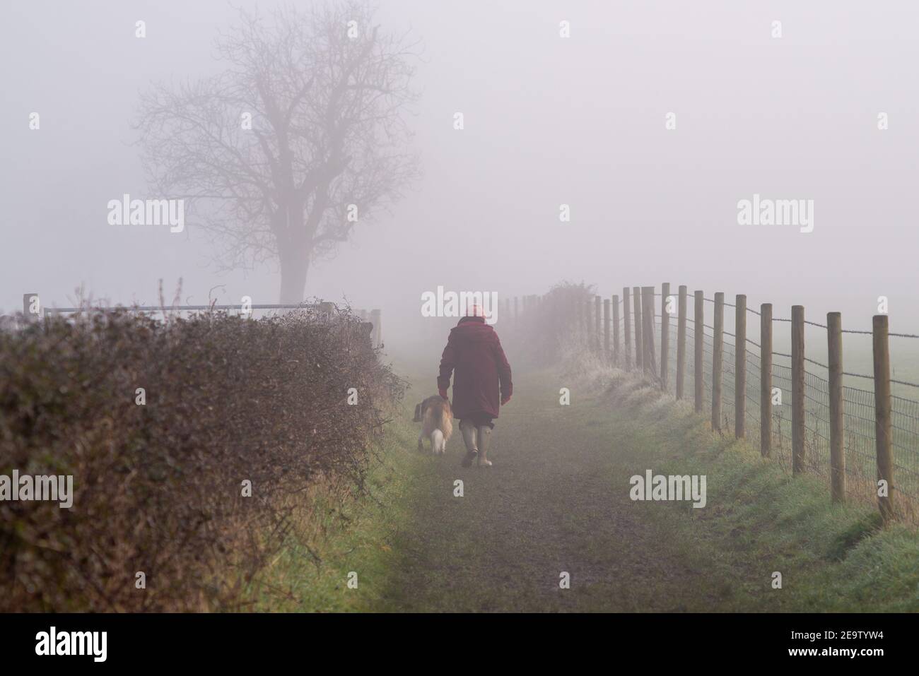 February mist uk countryside hi-res stock photography and images - Alamy