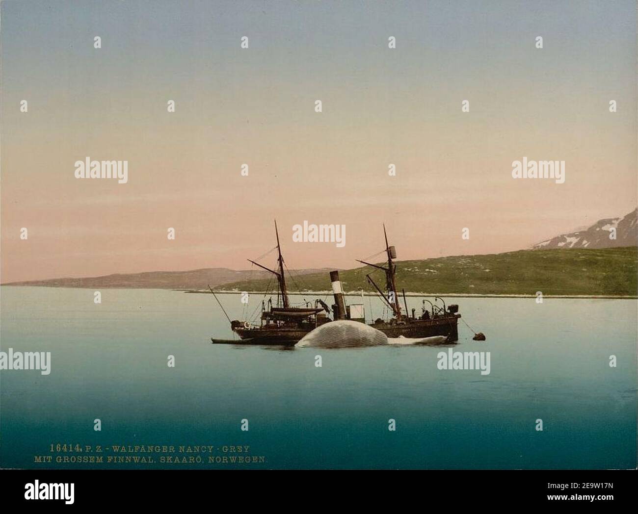 Whale catcher hi-res stock photography and images - Alamy