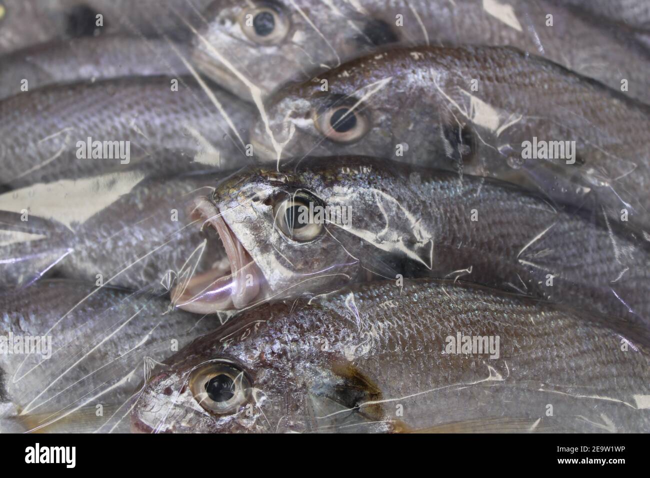 Face covered with plastic hi-res stock photography and images - Alamy