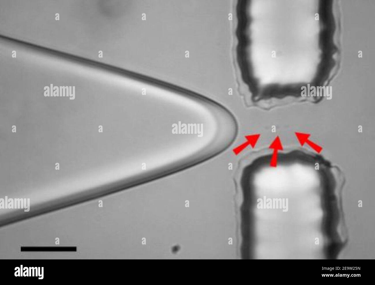 Nanochemistry hi-res stock photography and images - Alamy