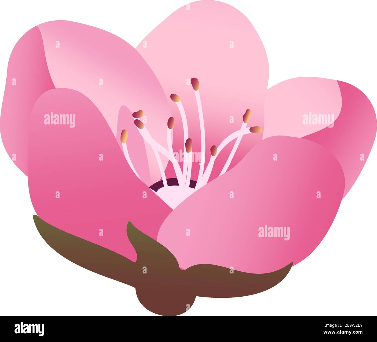 Cute pink Sakura flower icon Stock Vector Image & Art - Alamy