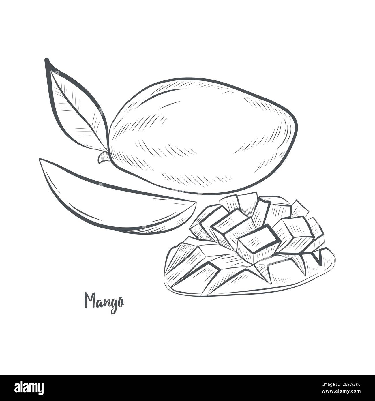 Hand drawn mango sketch isolated on white background Stock Vector Image ...
