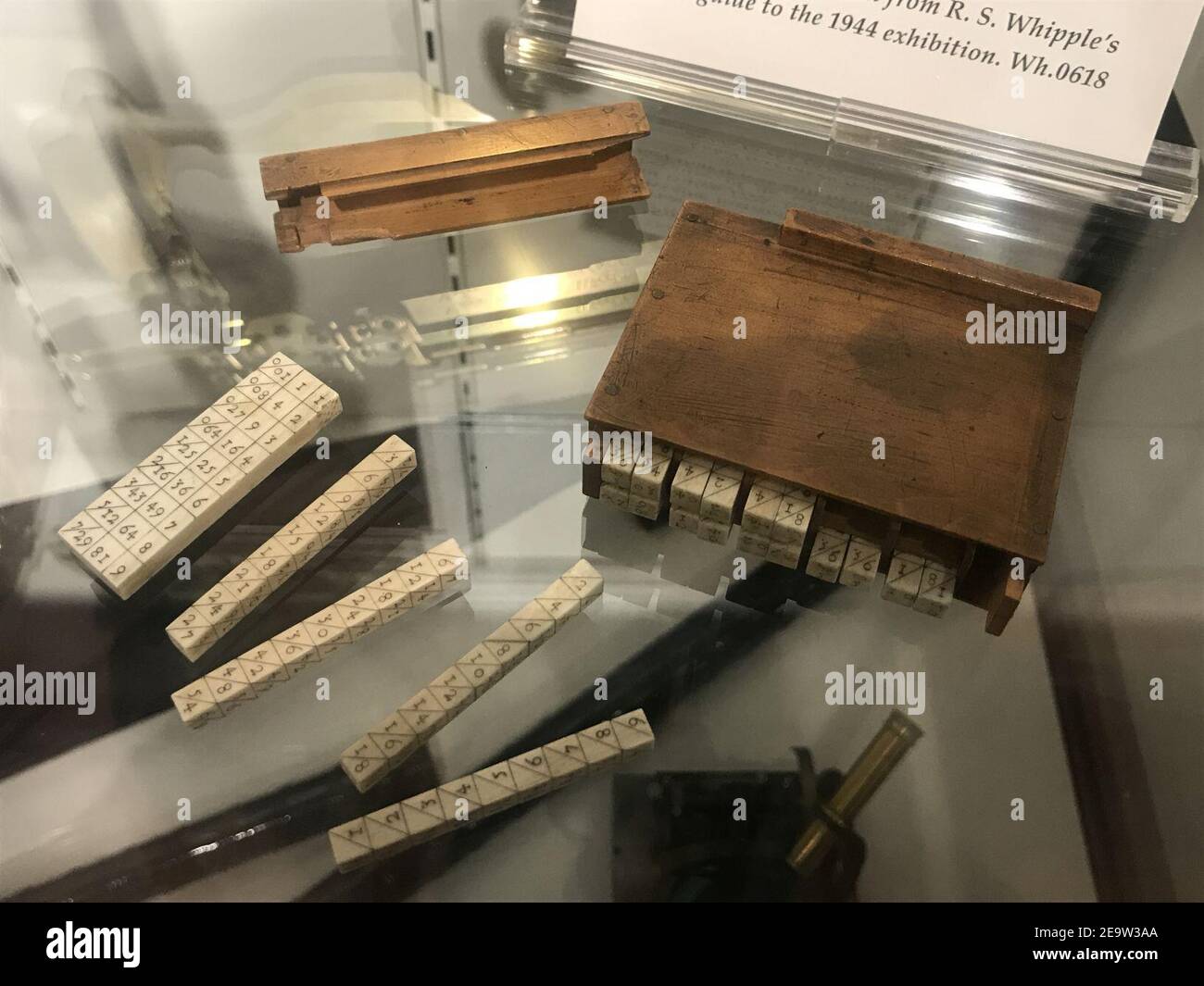 Napiers bones hi-res stock photography and images - Alamy