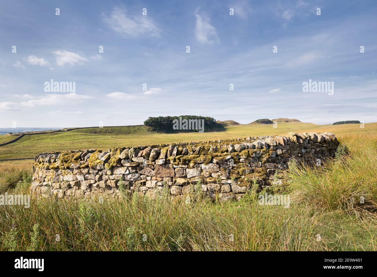 Ancient sheep fold hi-res stock photography and images - Alamy