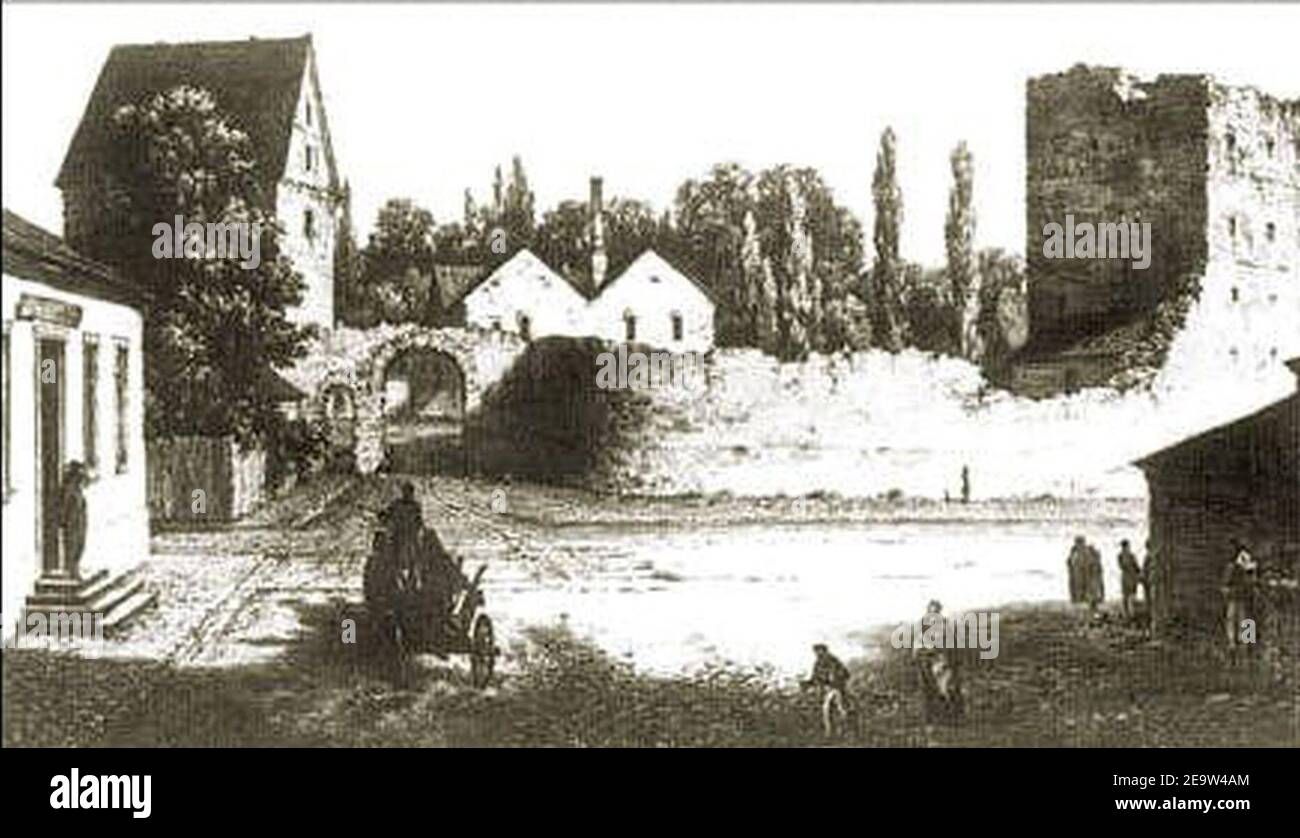 Napoleon Orda-Zamek Łęczycki Stock Photo - Alamy