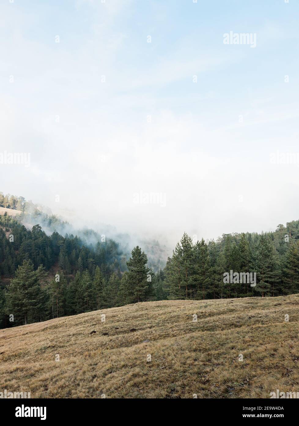 Wilderness europe meadow hi-res stock photography and images - Alamy