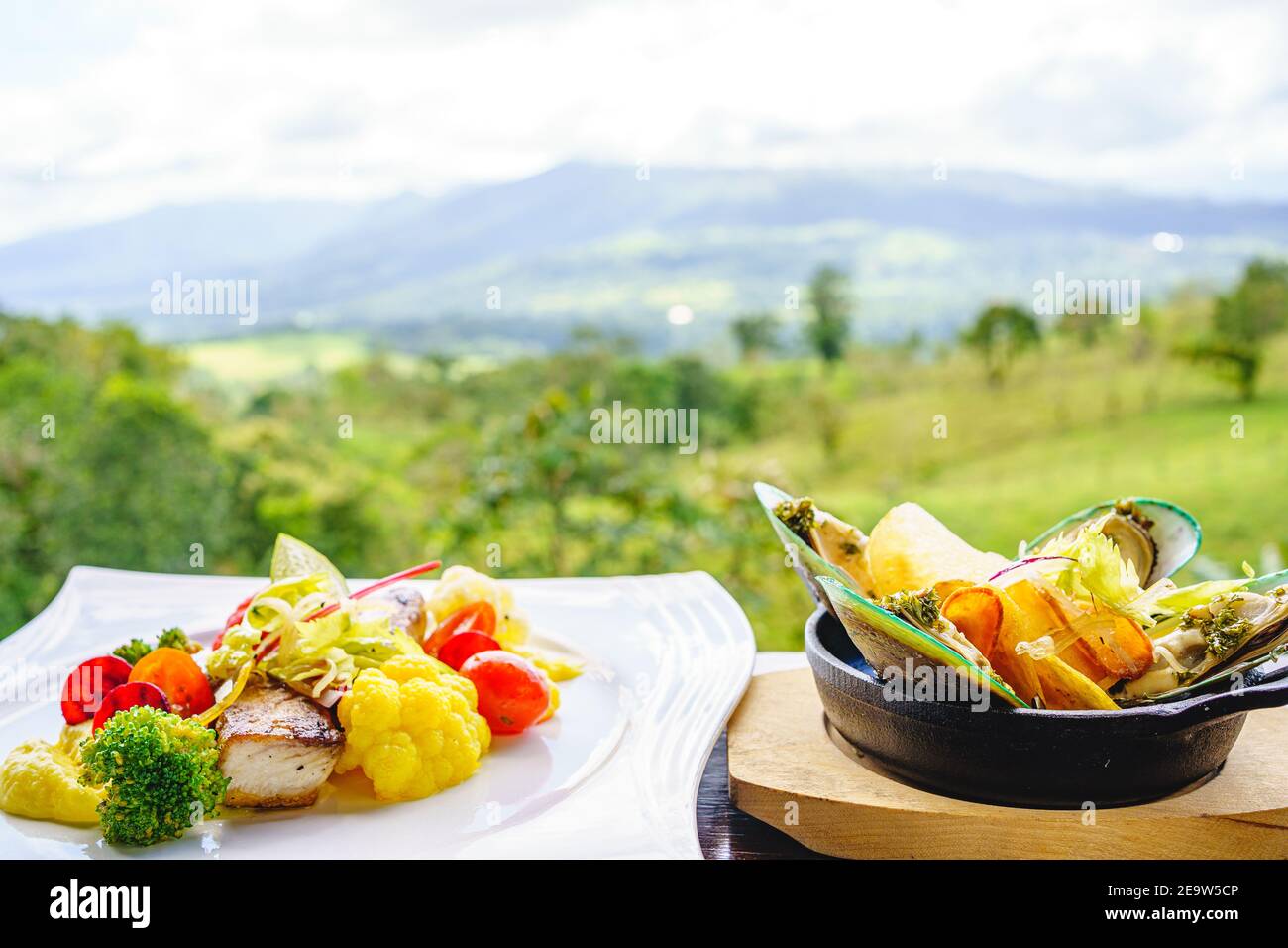 Wooden table with a plate of fish fillet and a plate of marinated ...