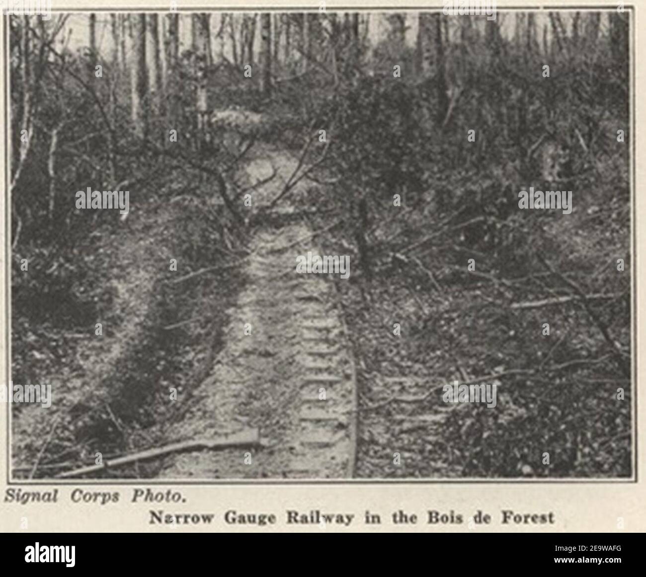 Narrow gauge railway in the Bois de Forest (Signal Corps Photo Stock ...