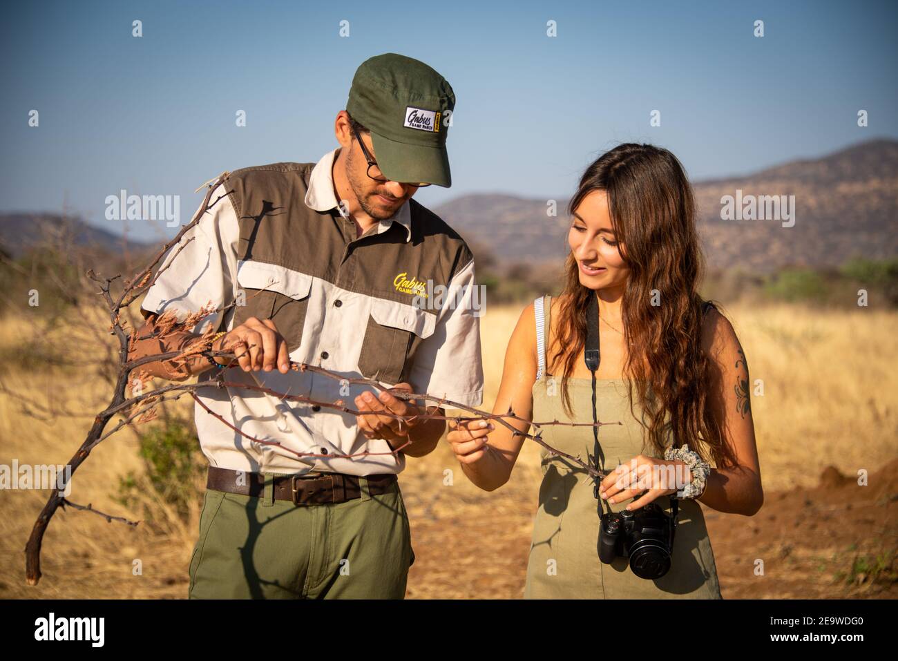 Safari guide shows woman branch in savannah Stock Photo - Alamy