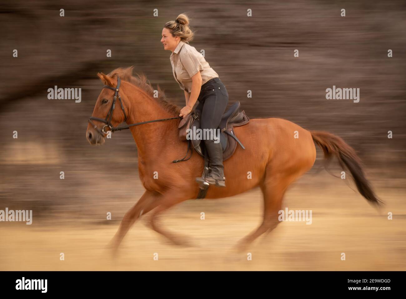 Slow pan of blonde riding past woods Stock Photo - Alamy