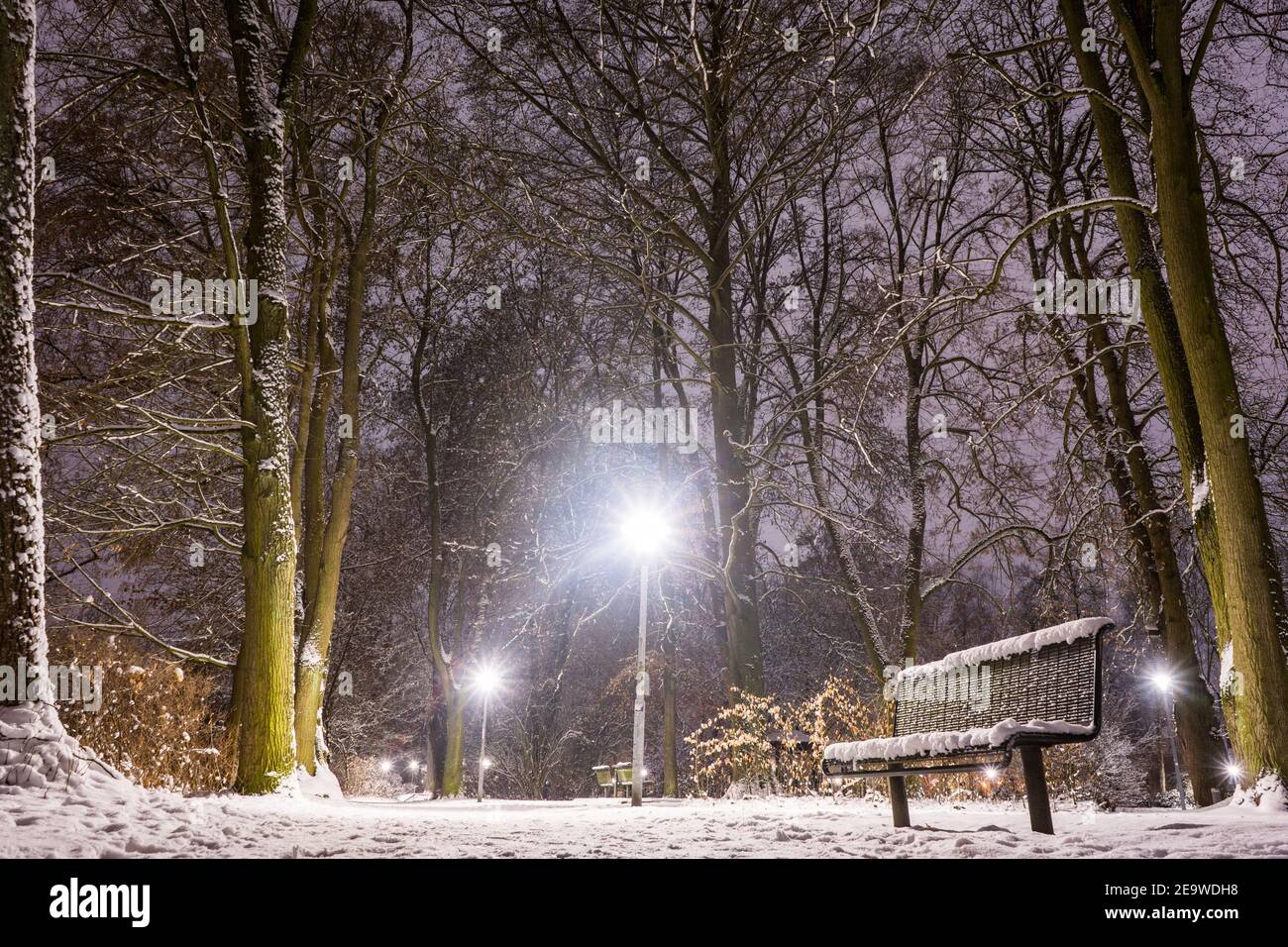 Park Bench Night High Resolution Stock Photography and Images - Alamy