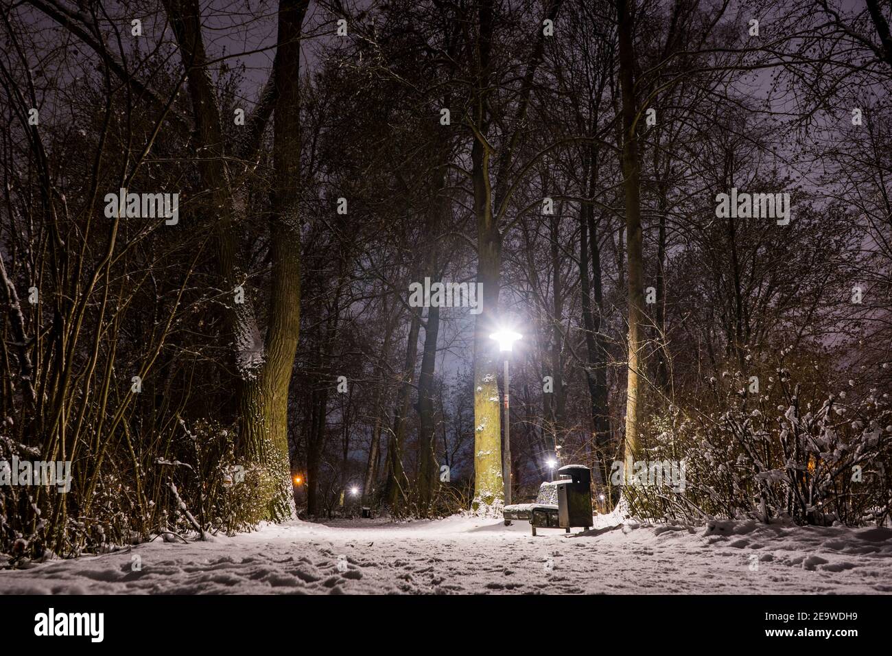 snow covered park in winter Stock Photo - Alamy