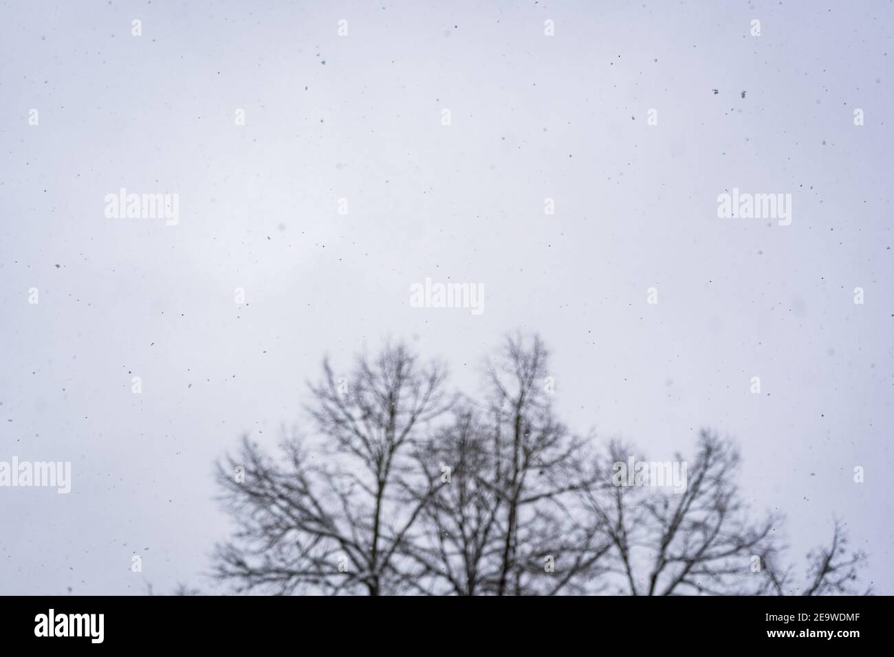 snow falling from the sky Stock Photo - Alamy