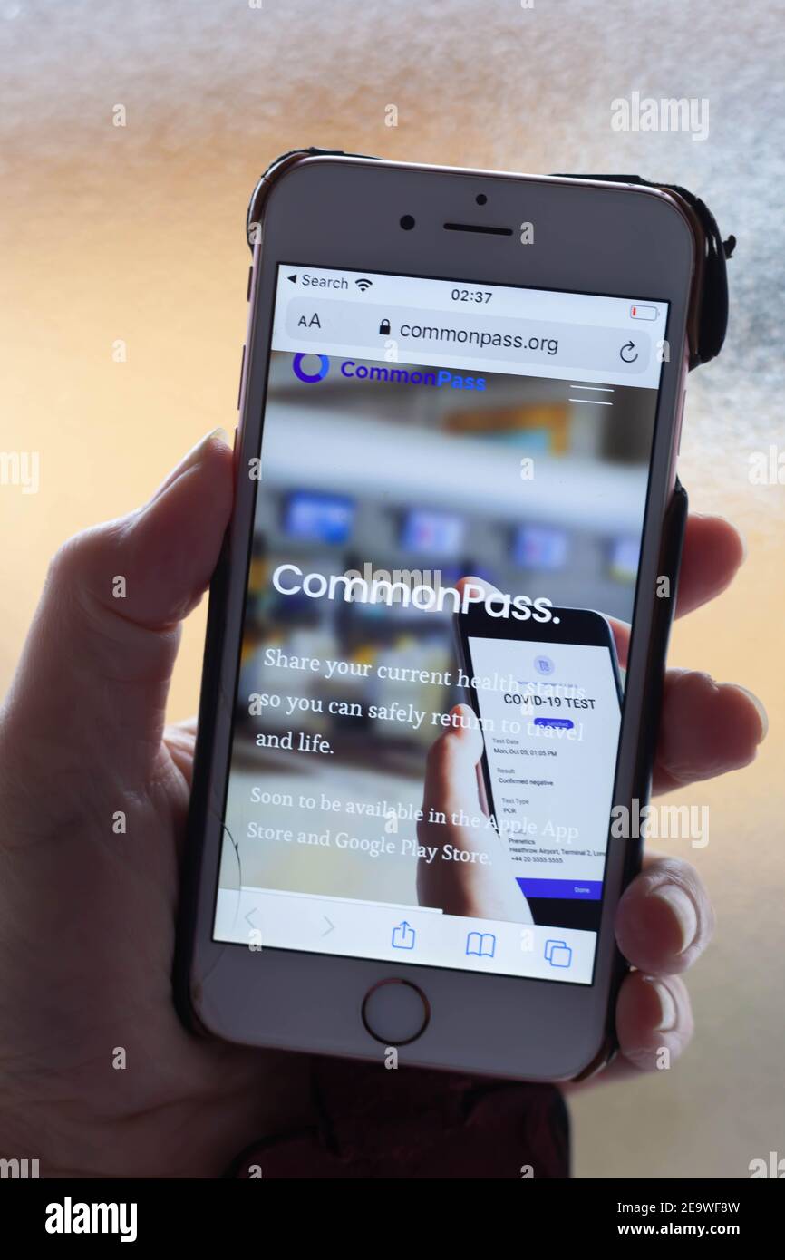 Close-up of a hand holding a mobile phone with Common Pass travel ...