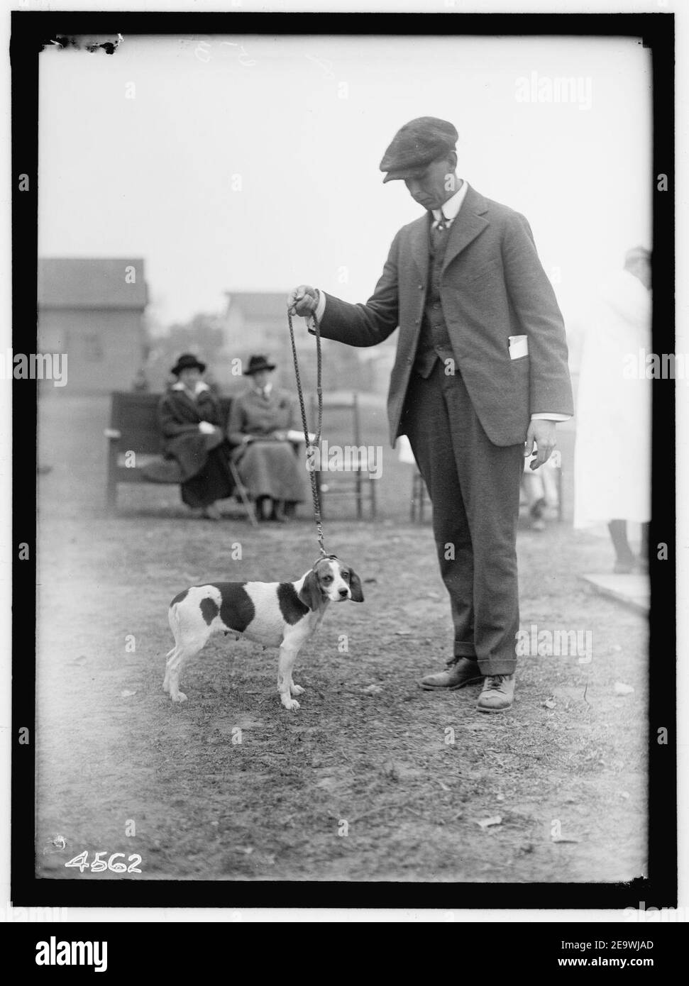 NATIONAL BEAGLE CLUB OF AMERICA. JAMES P. VAN DYKE OF SUNHURY, PA Stock ...