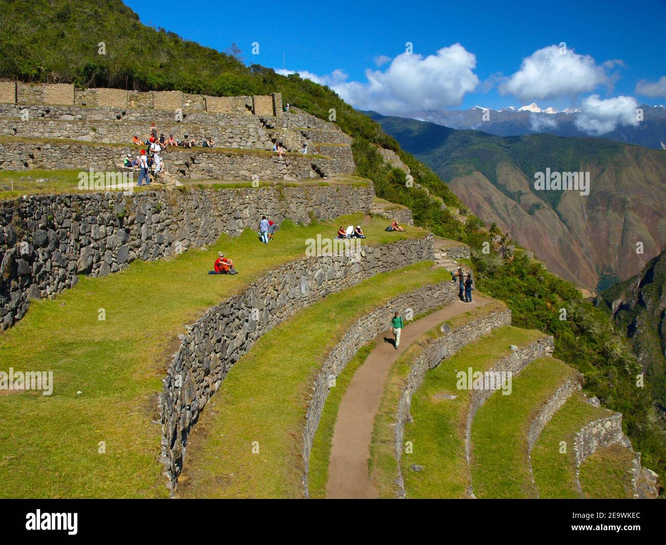 Green terraces of Machu Picchu in Peru Stock Photo - Alamy