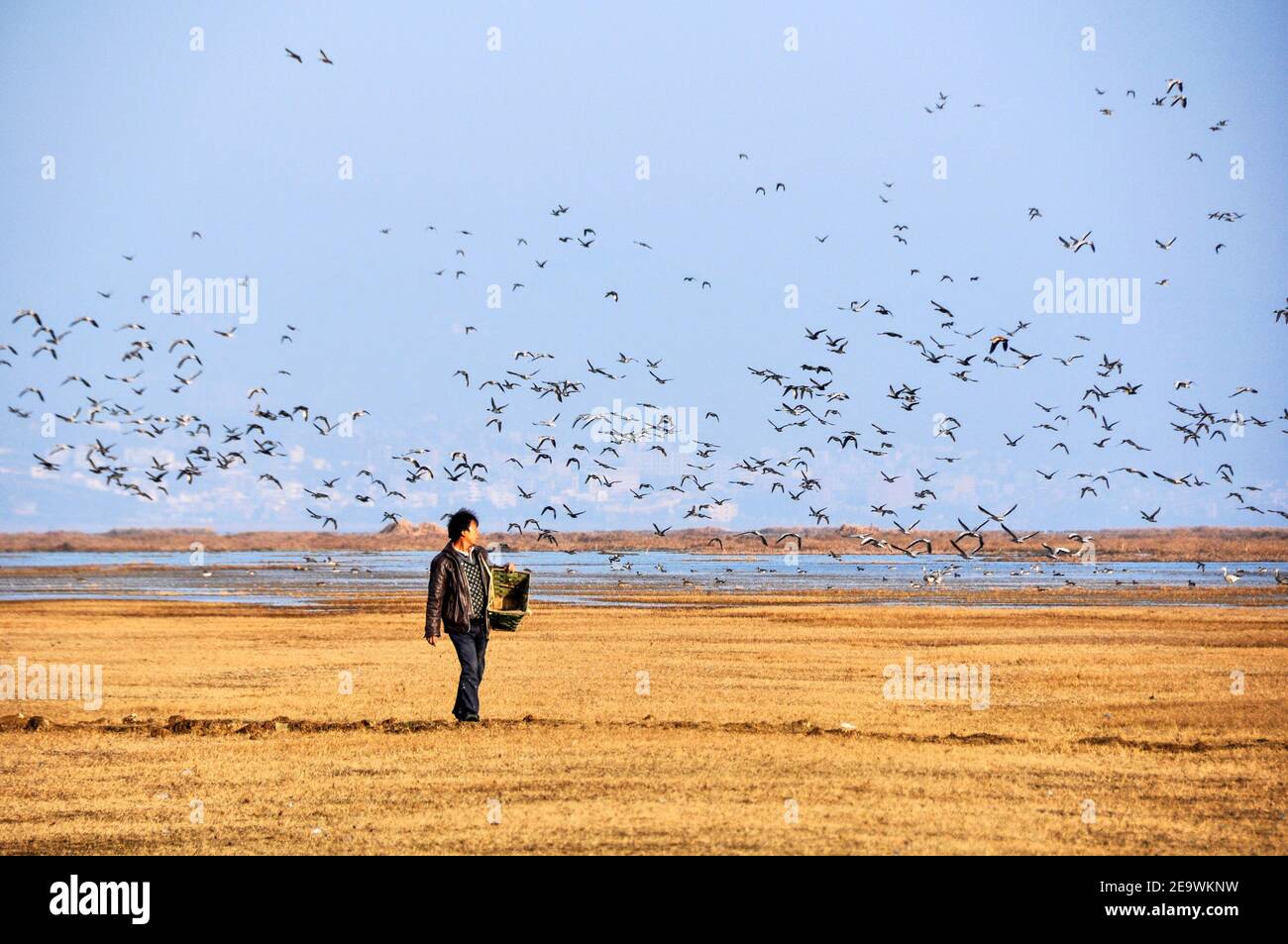 File covers hi-res stock photography and images - Alamy