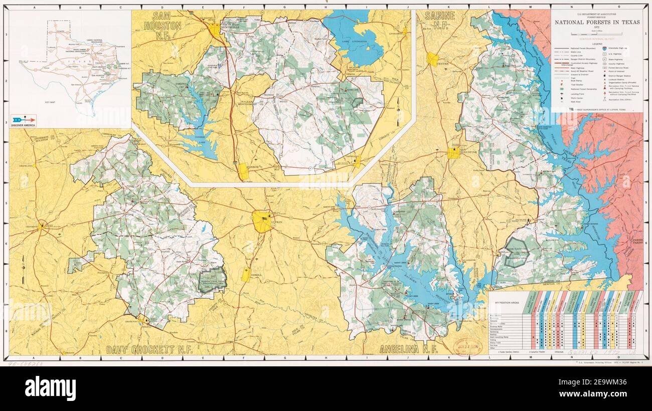 National forests in Texas Stock Photo - Alamy