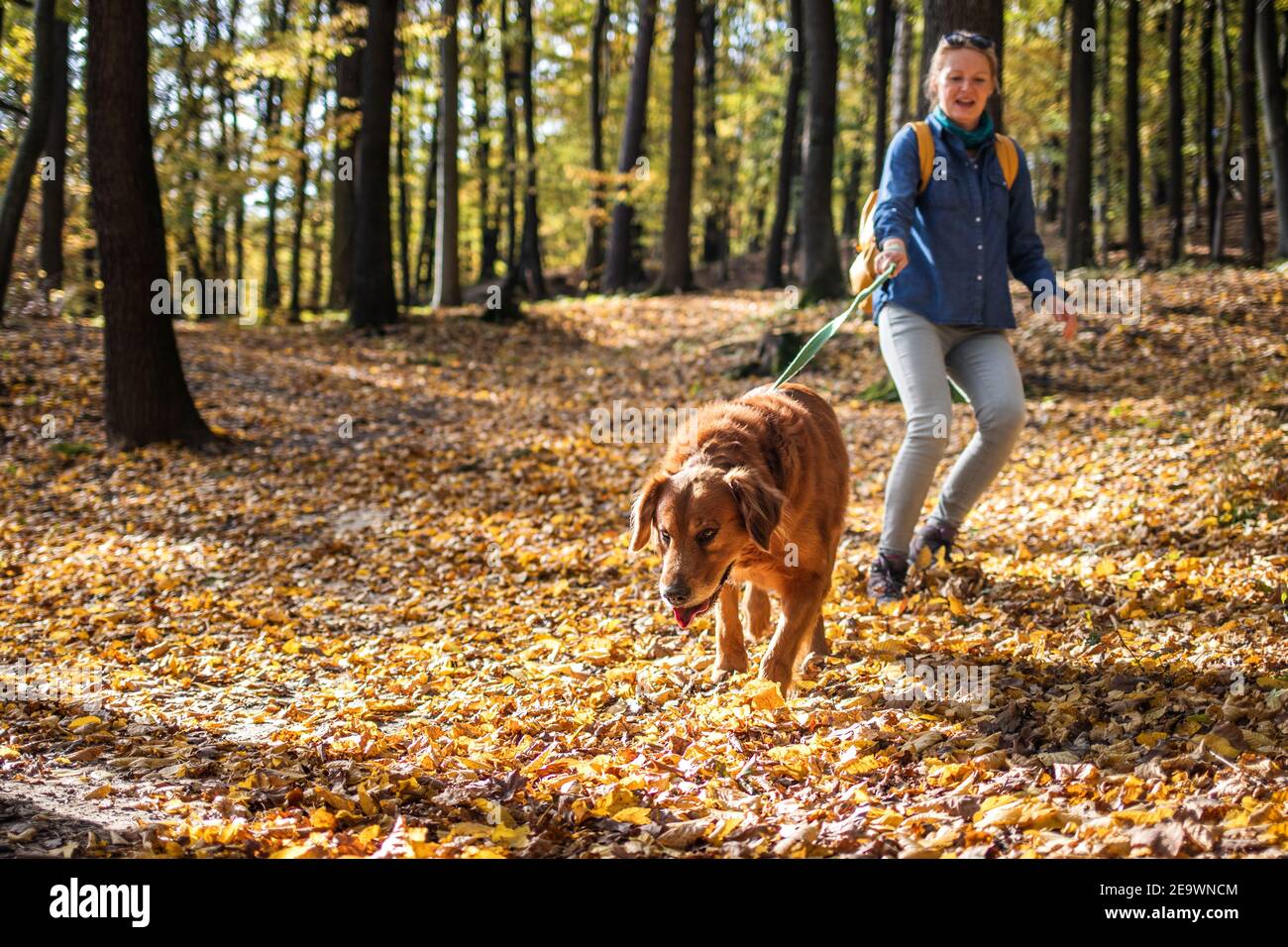 Big dog and woman hi-res stock photography and images - Alamy