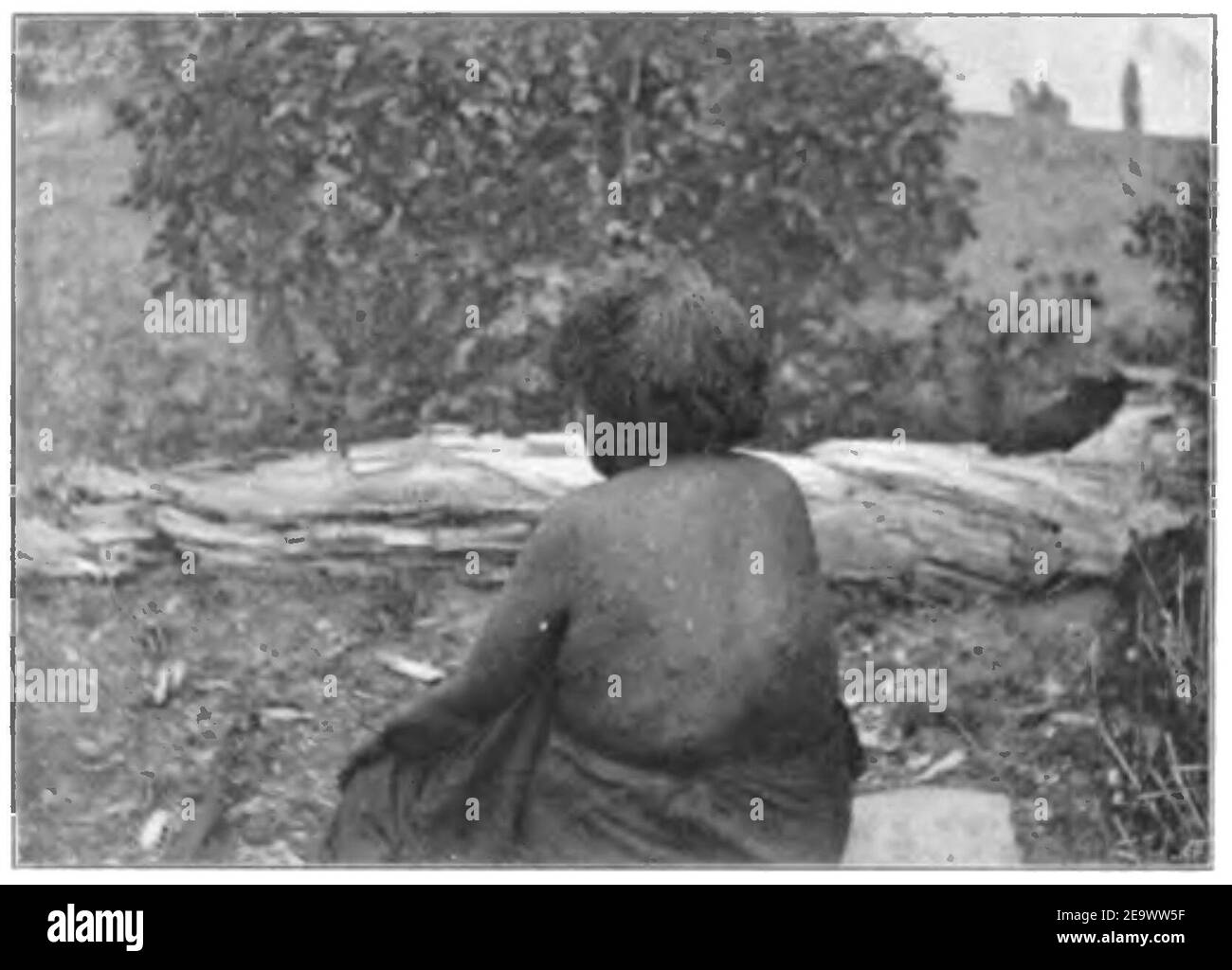 Kurnai hi-res stock photography and images - Alamy