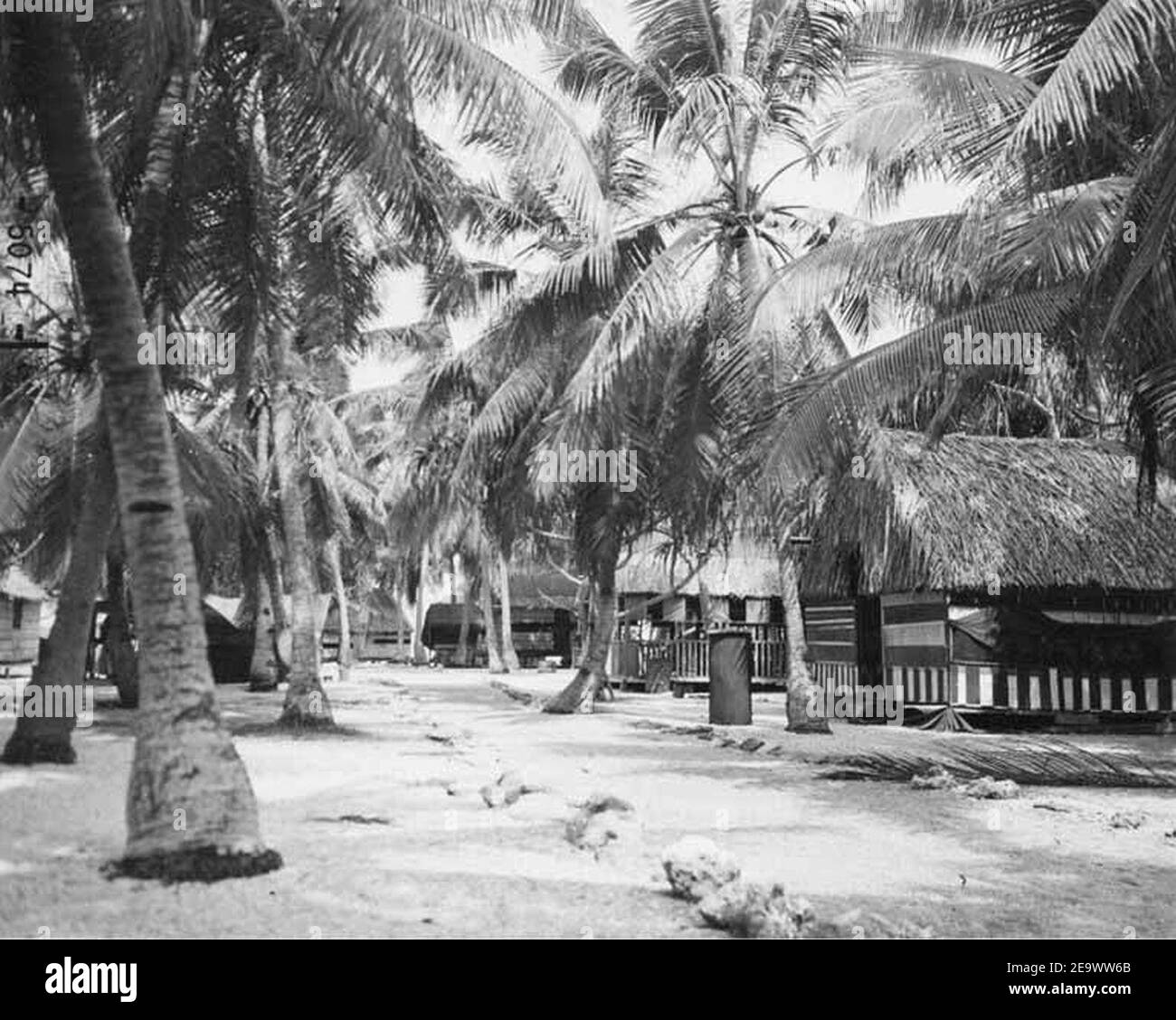 Native village, Rongerik Island, 1947 (DONALDSON 122 Stock Photo - Alamy