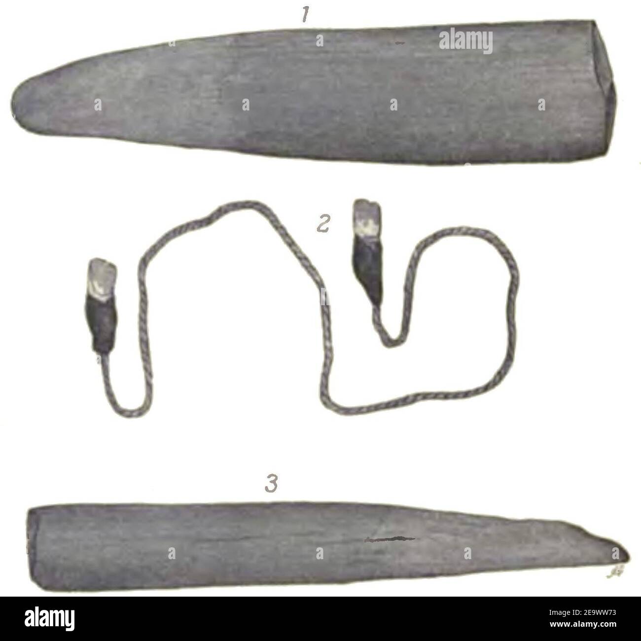 Native tribes of South-East Australia Fig 33 - Teeth extracted at Yuin ...