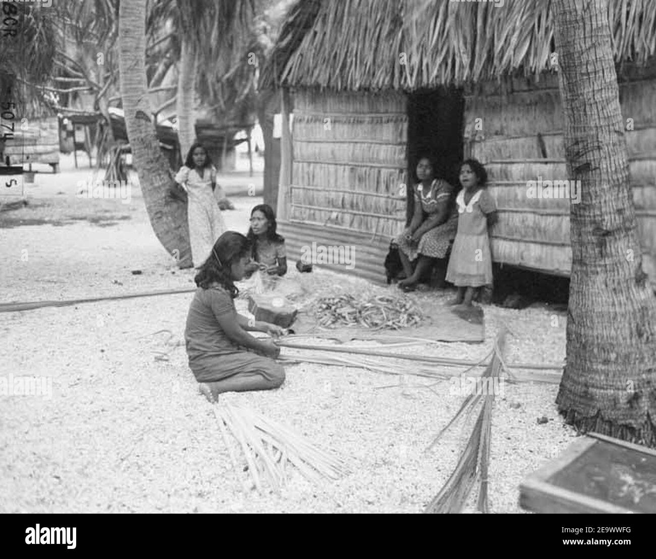 Native women in front of their home weaving palm branches, Rongerik ...