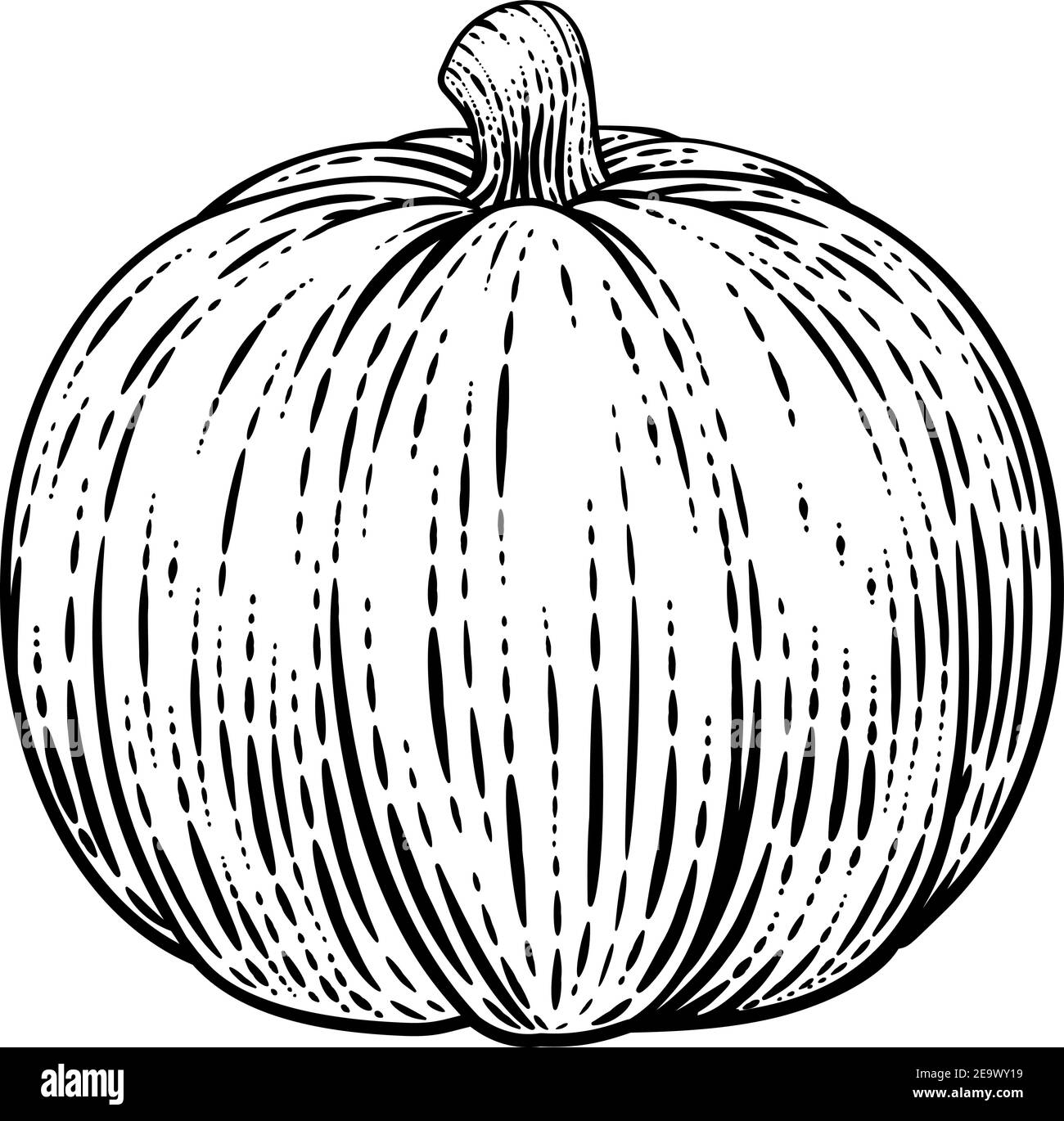 Vector illustration pumpkin outline Cut Out Stock Images & Pictures - Alamy