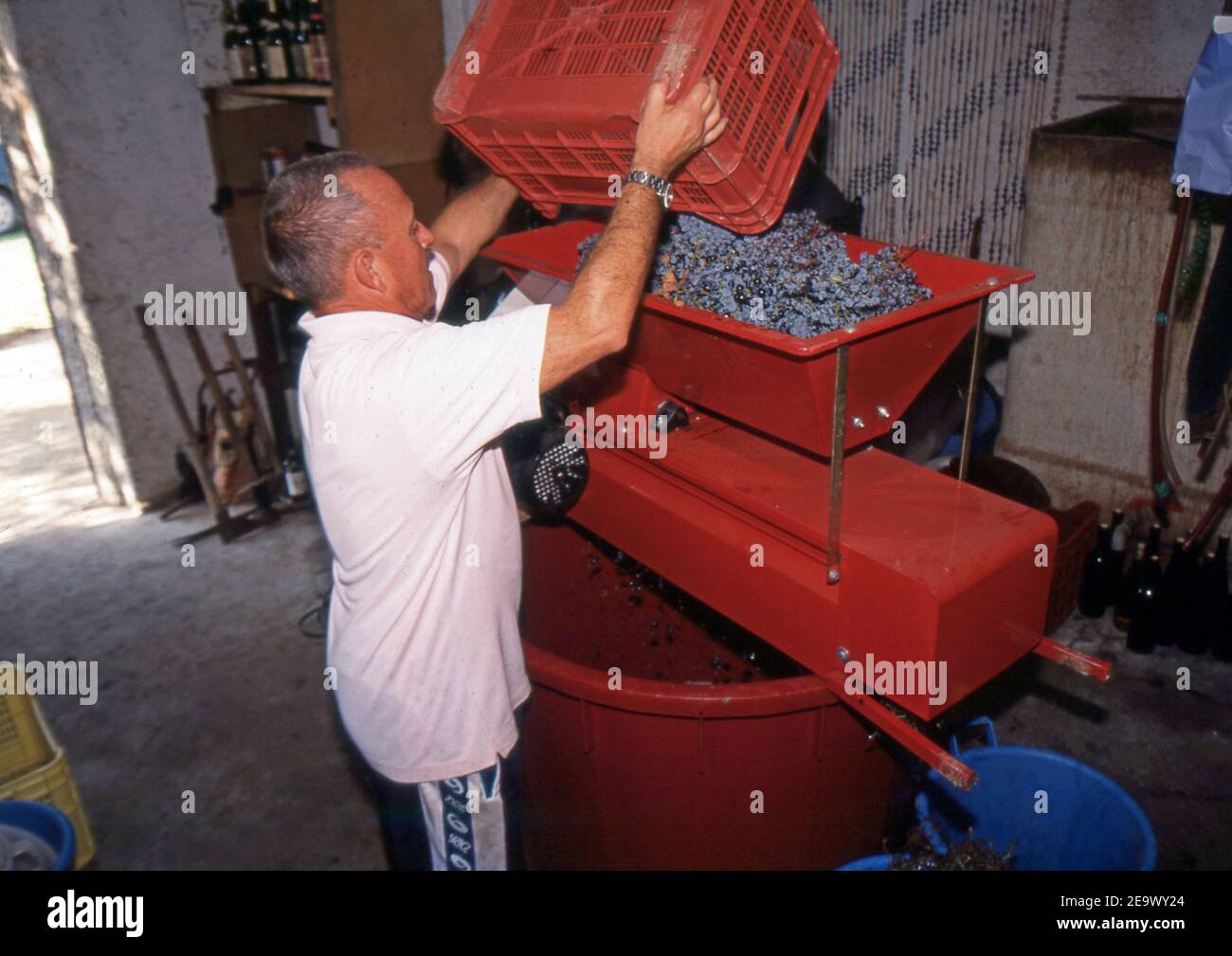 Grape gathering hi-res stock photography and images - Alamy