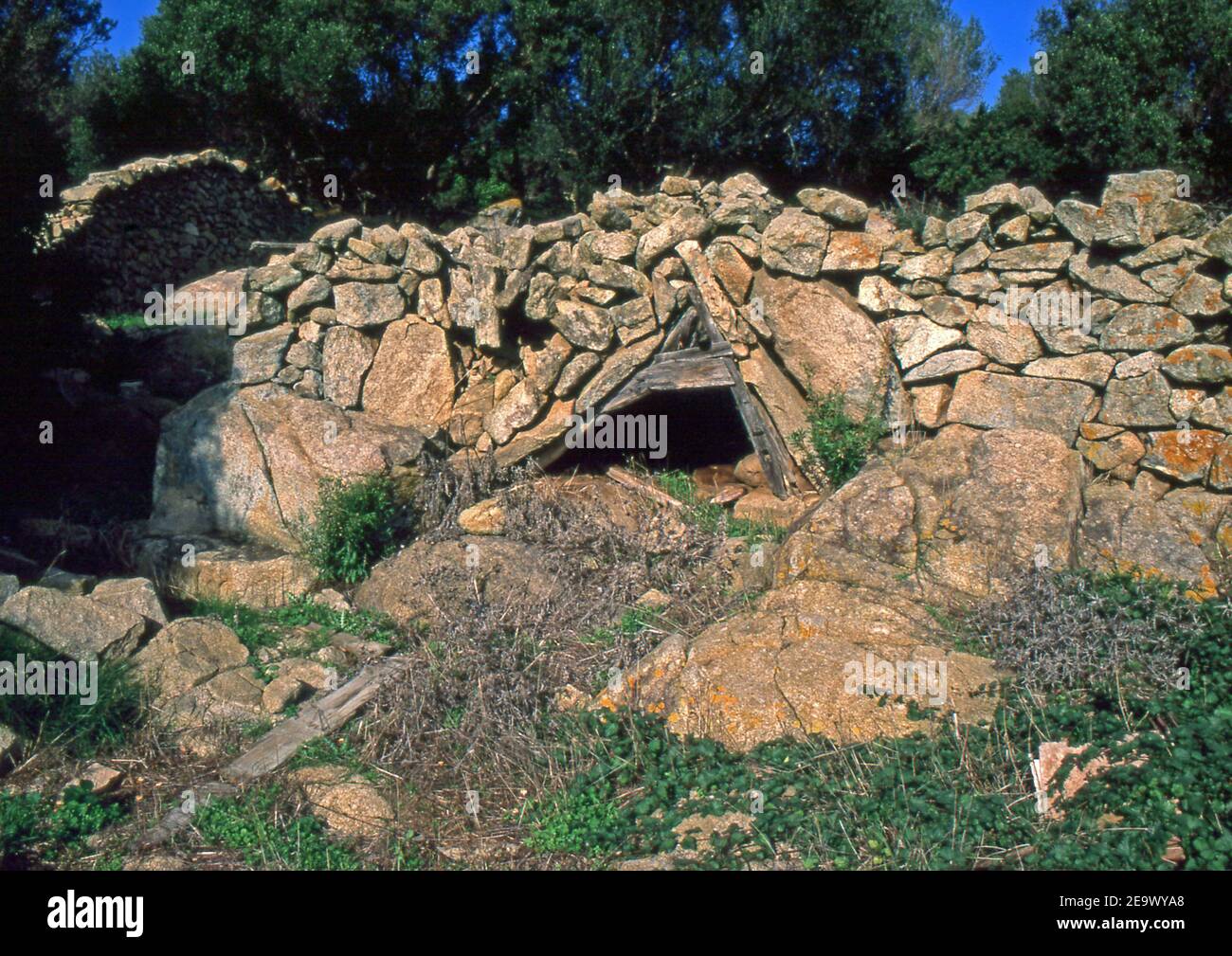 Old sheep pen in Gallura farm, Sardinia (scanned from Fijichrome Velvia ...