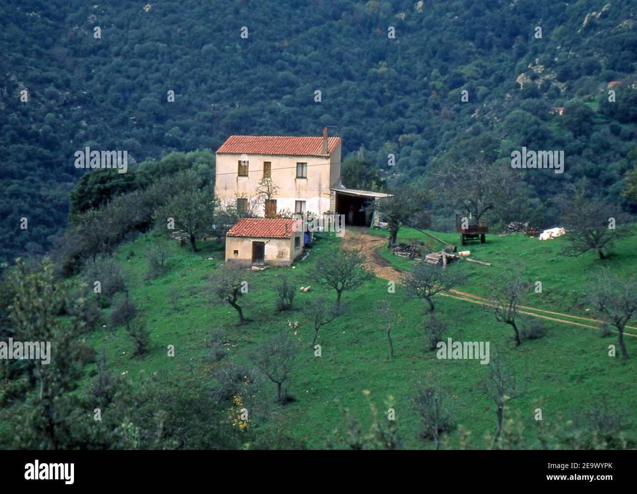 An "stazzo", typical farm of Gallura, Sardinia, Italy (scanned from ...