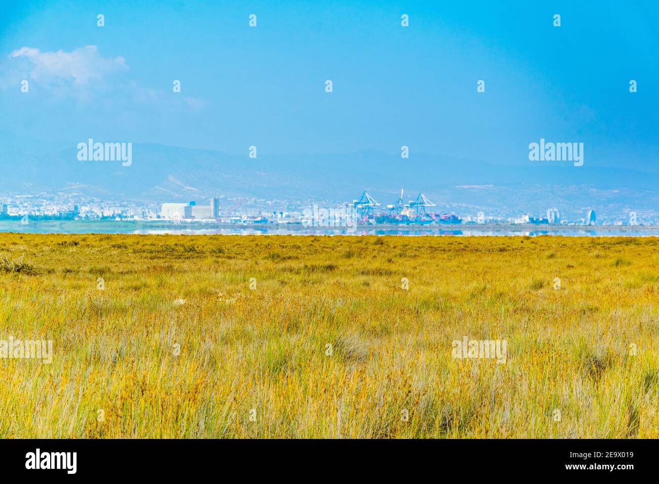 Limassol salt lake hi-res stock photography and images - Alamy