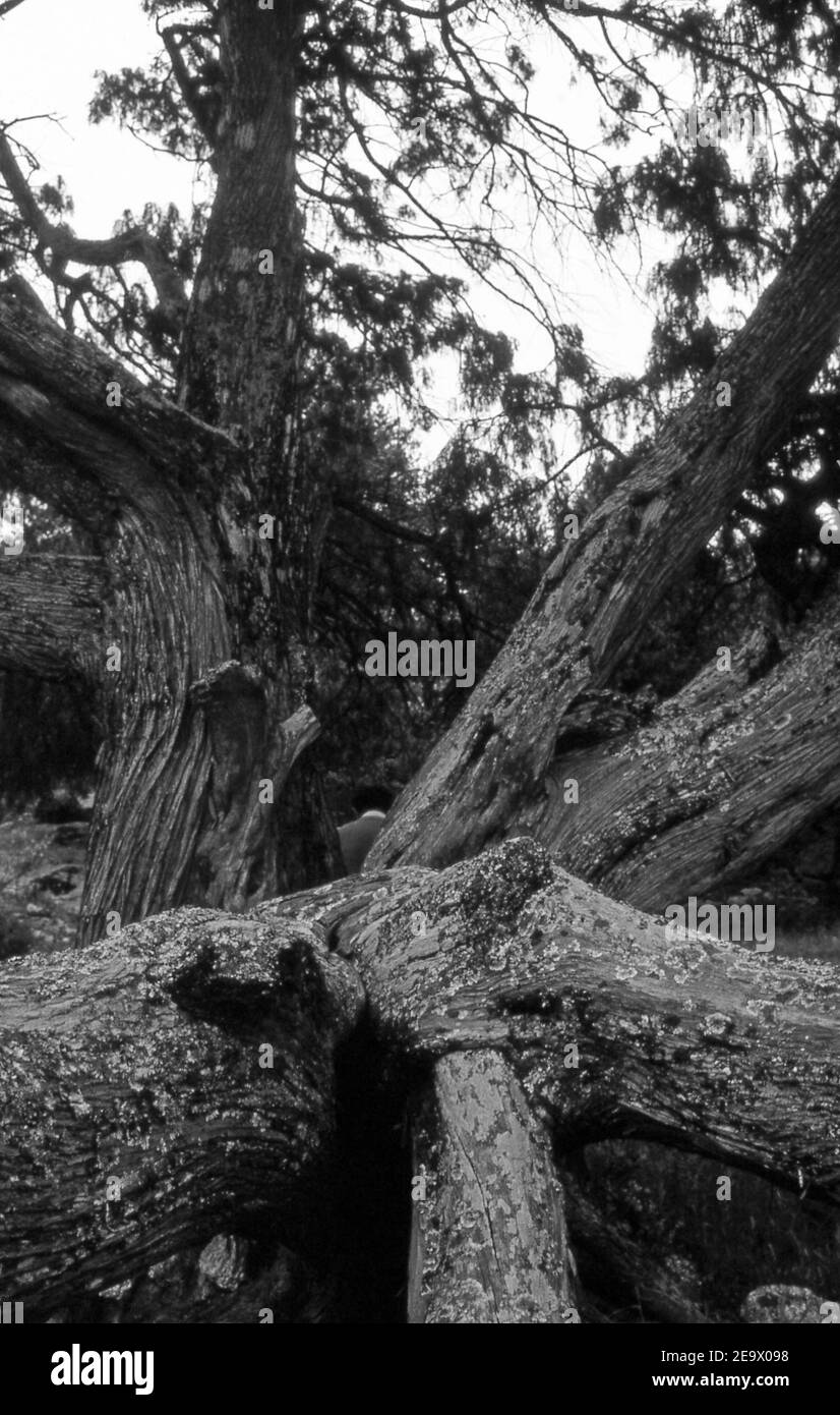 Colorslide Black and White Stock Photos & Images - Alamy