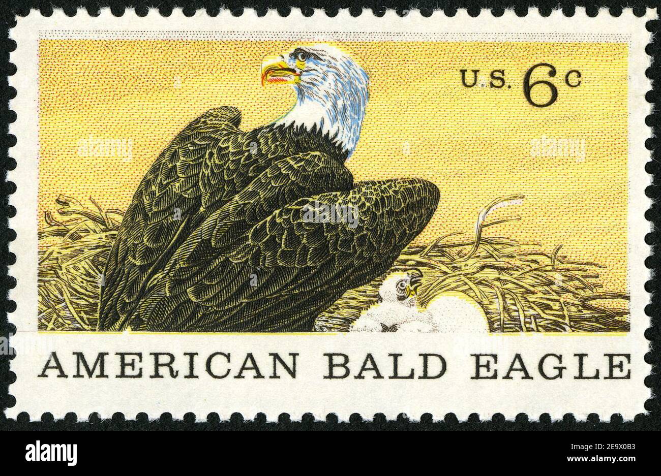 Natural History American Bald Eagle 6c 1970 issue U.S. stamp Stock ...