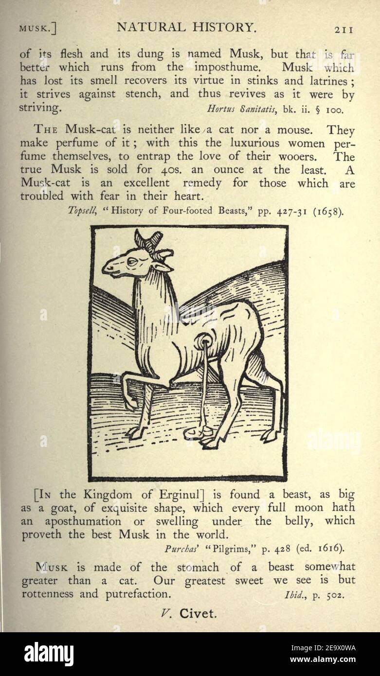 Natural history in Shakespeare's time (Page 211, Fig. 31 Stock Photo ...