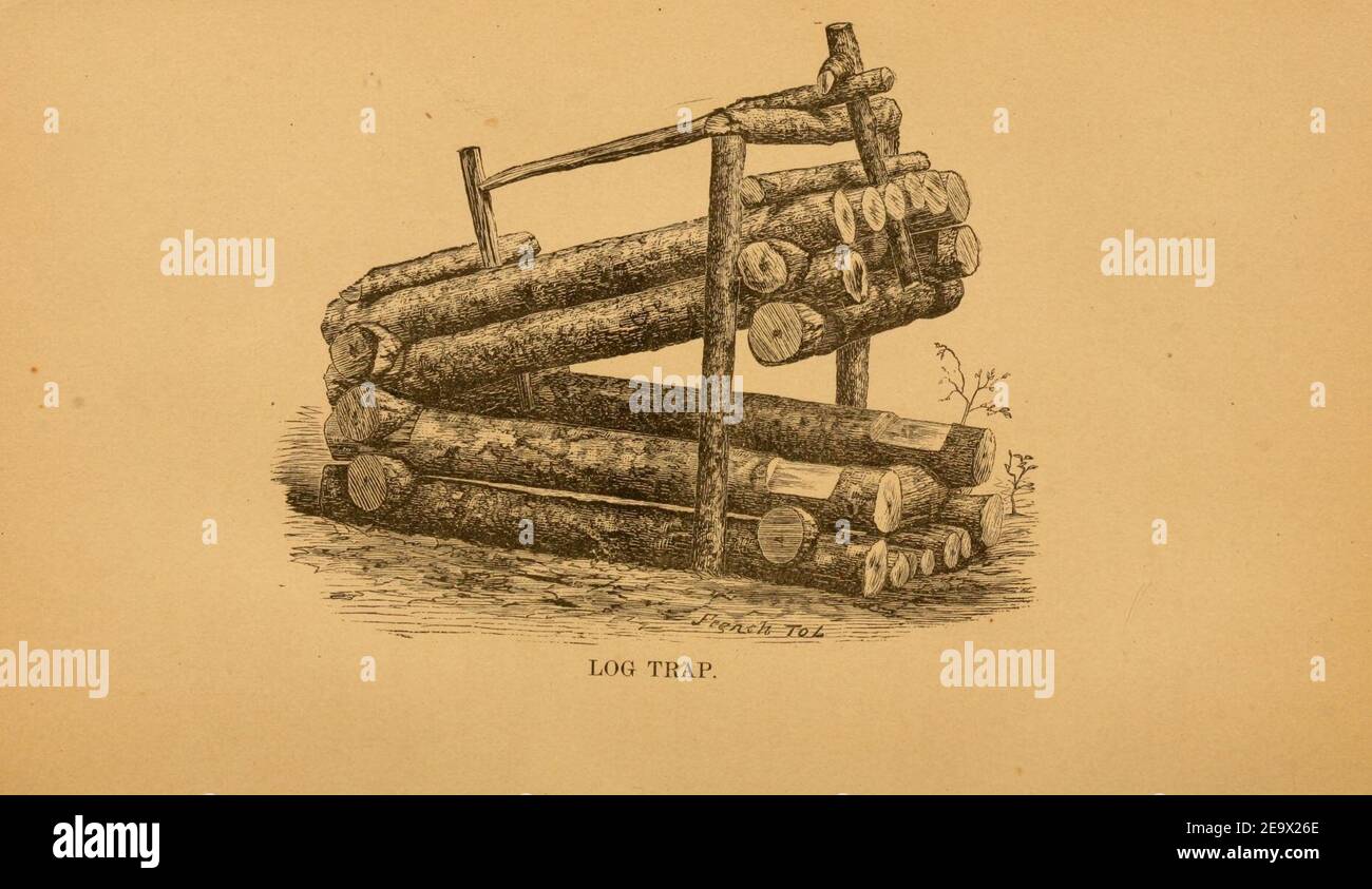 Natural history of western wild animals and guide for hunters, trappers ...