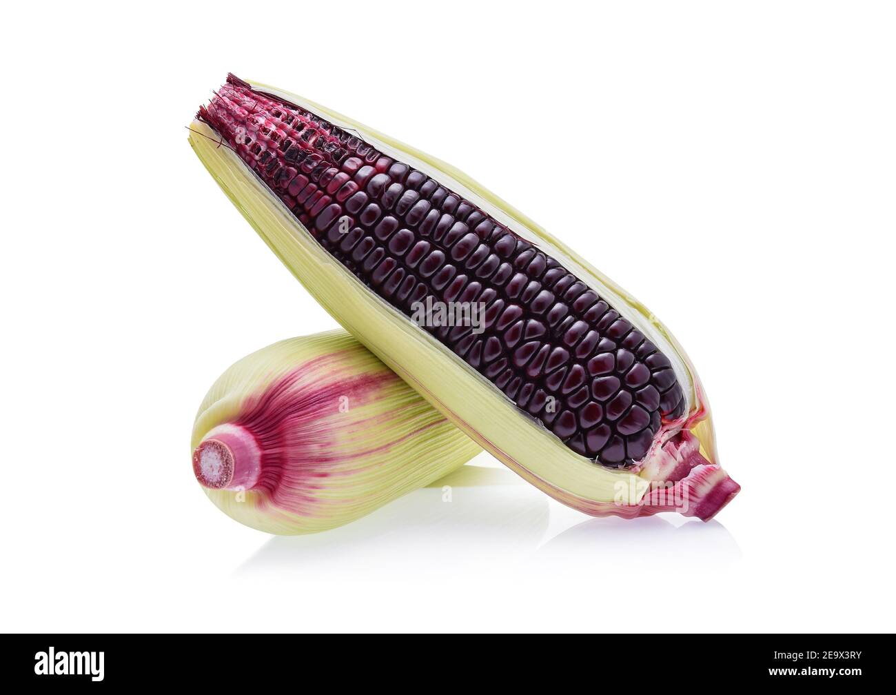 purple corn on white background Stock Photo - Alamy