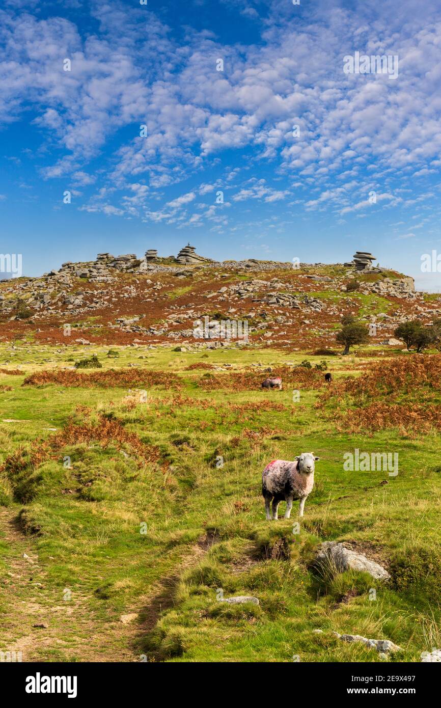 The Cheesewring on Bodmin Moor in Cornwall, England Stock Photo - Alamy