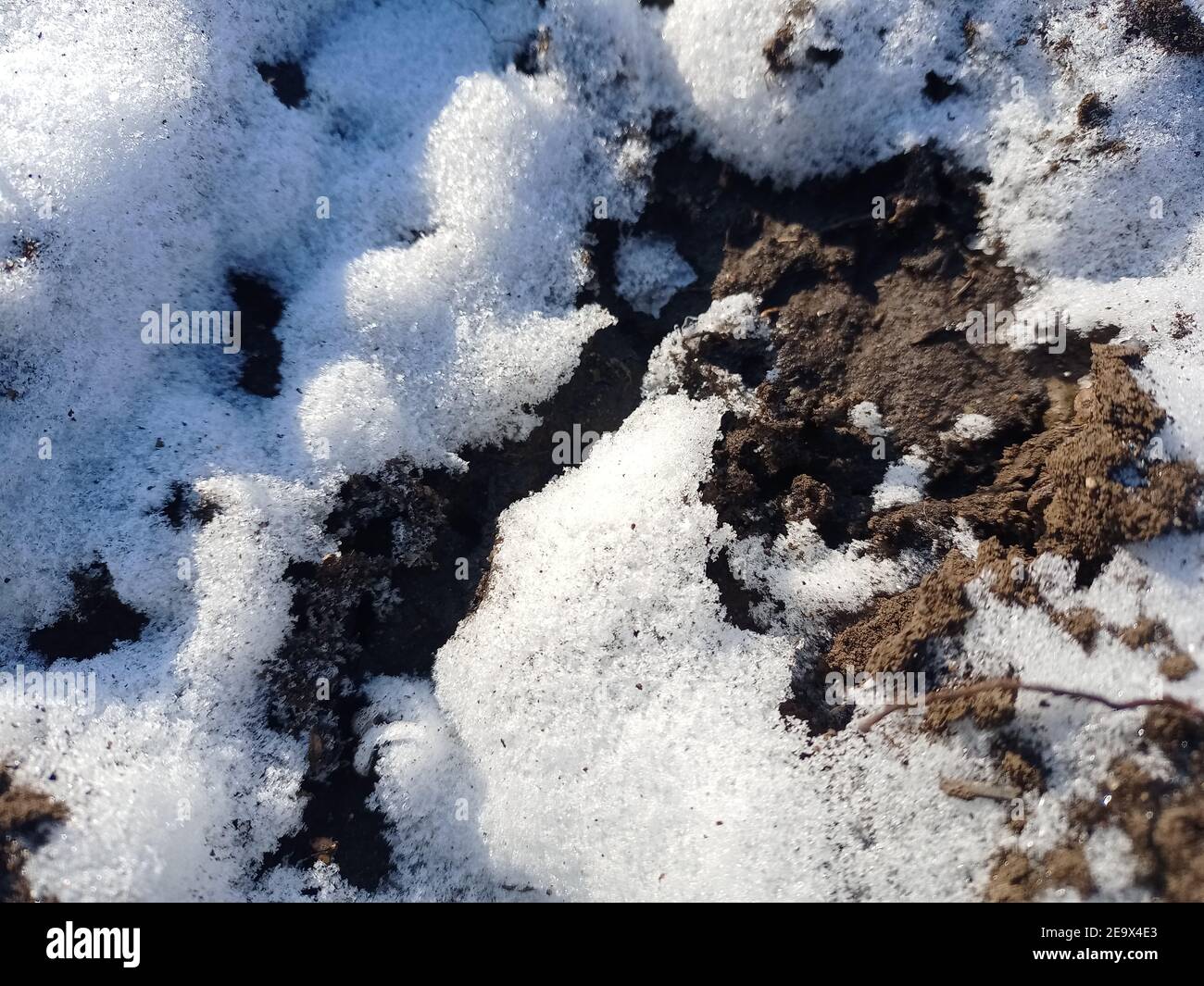 Macro melt snow blue background hi-res stock photography and images - Alamy