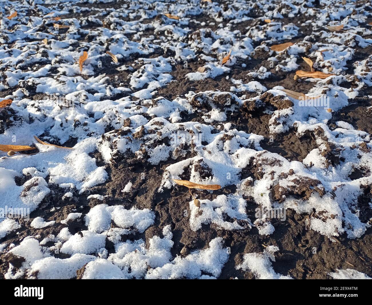 Snow lies on black ground. Snow is melting Stock Photo - Alamy