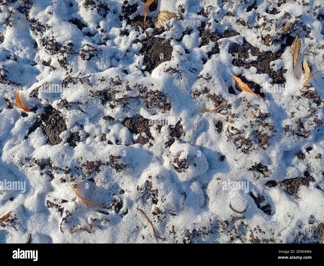 Snow lies on black ground. Snow is melting Stock Photo - Alamy