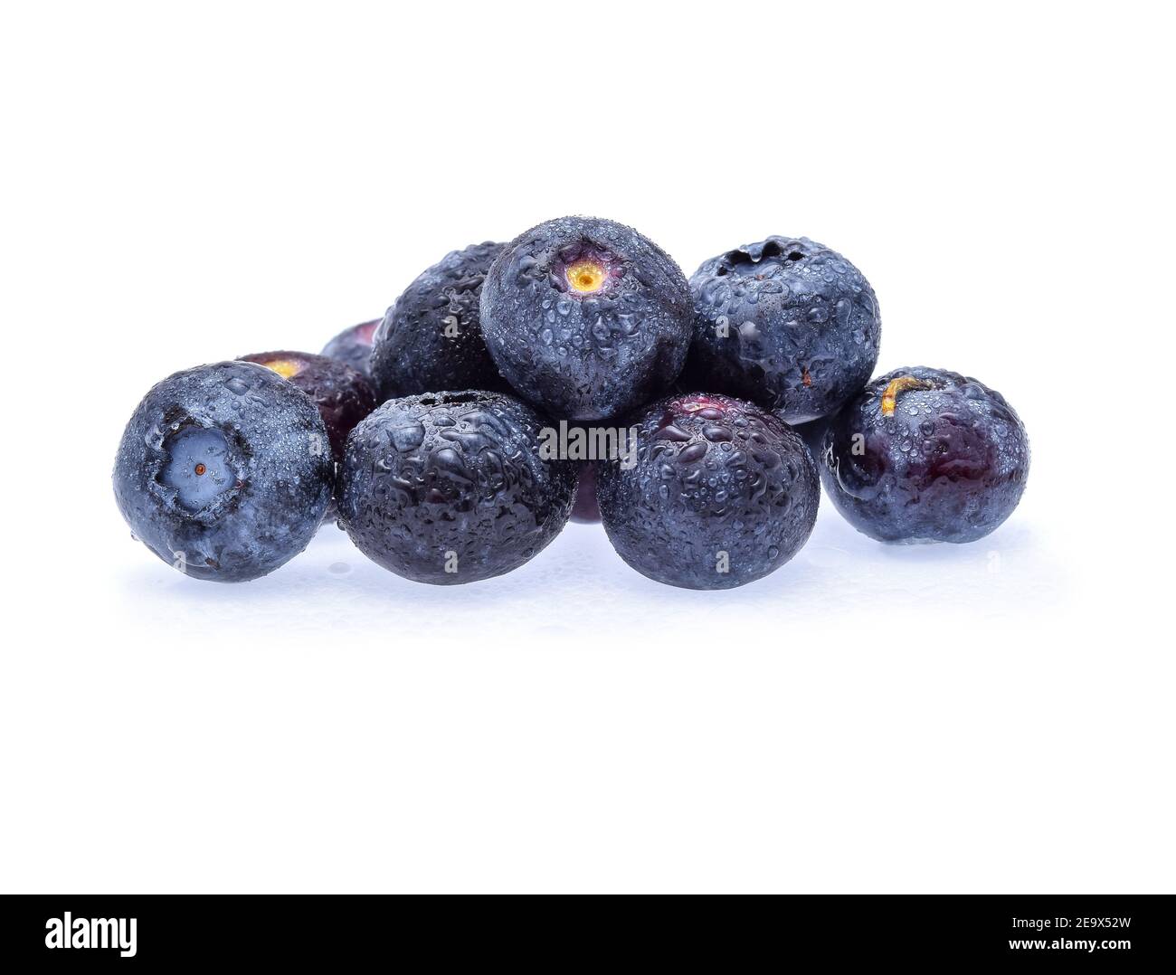 blueberry with water drops isolated on white background Stock Photo - Alamy