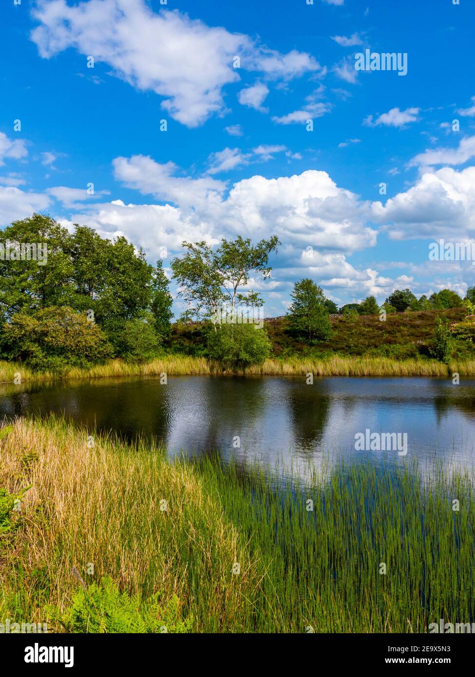 Reflections in pools near the dam at Stone Edge an old lead smelting ...