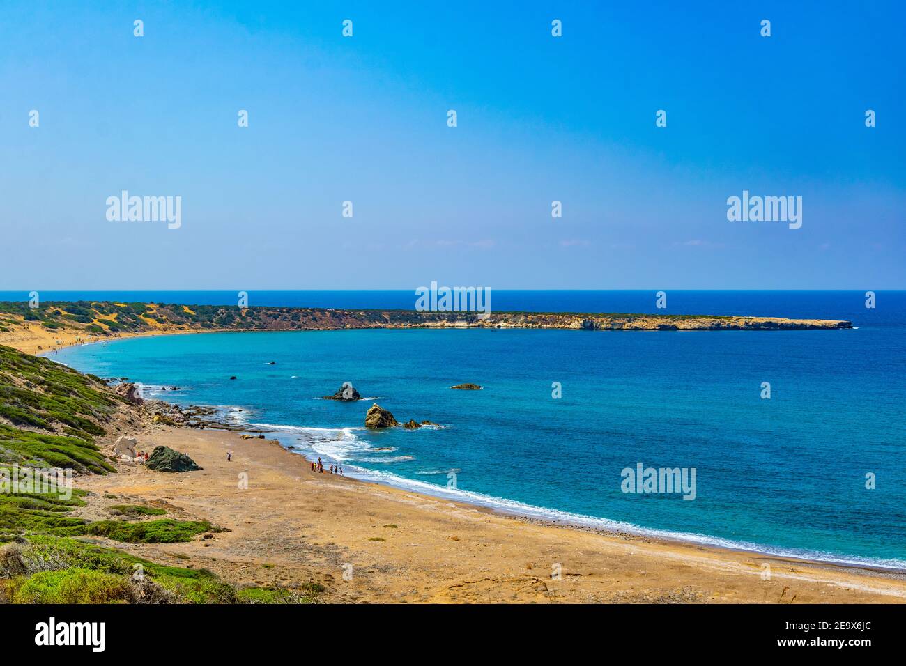 Lara beach cyprus turtle hi-res stock photography and images - Alamy